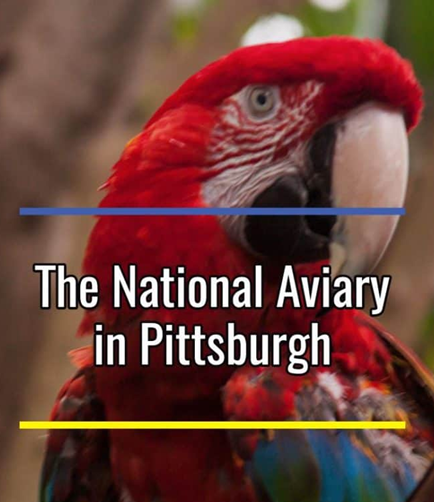 A Day at the Aviary + Real Estate Ethics | Wed. Feb. 4, 2026 | 12:30 ...